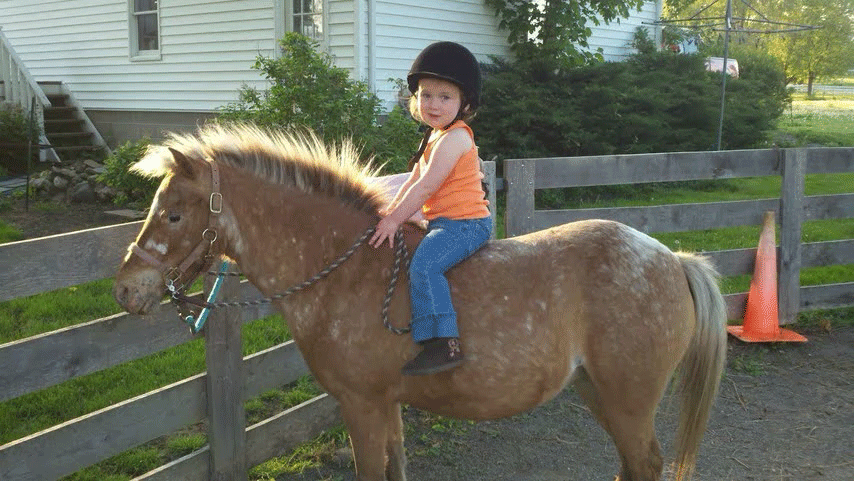 Meet The Horses | Little Dude Ranch | Children's Party Service in ...